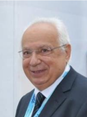 Mario Marchetti - Top Italian Scientists Wiki