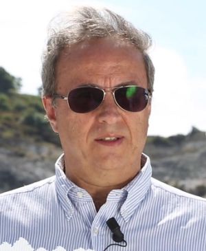 Aldo Zollo - Top Italian Scientists Wiki